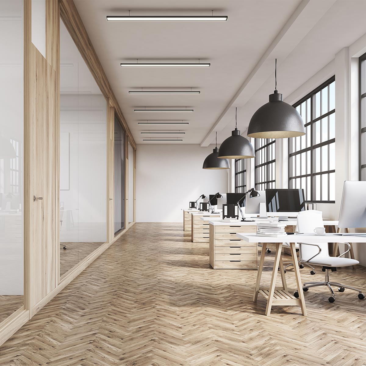 Commercial Office | Bachmann Construction